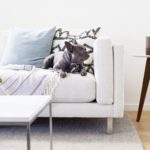 Ultimate Guide to Alexa and Amazon Echo | SafeWise