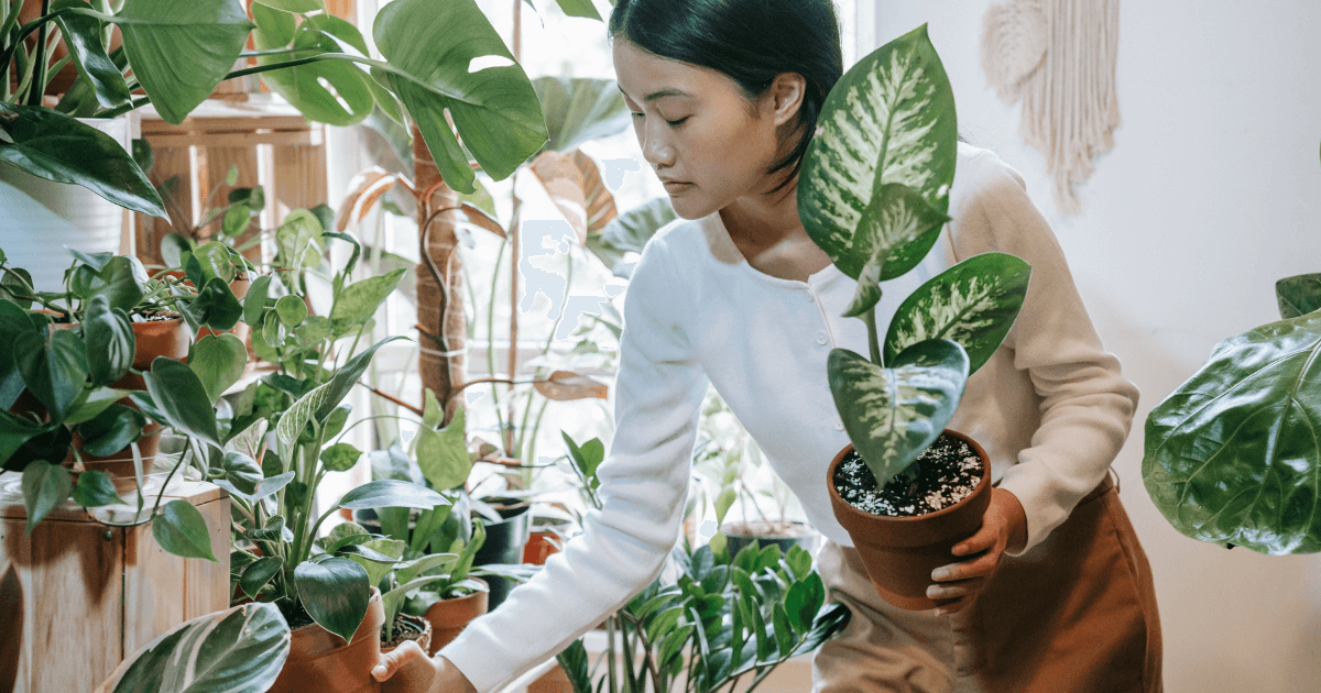 The Complete Backyard Safety Checklist | SafeWise