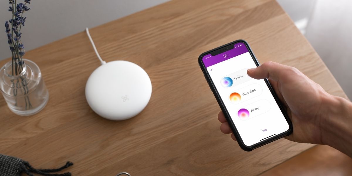 What the Heck is Hex? A Hex Home Review | SafeWise.com