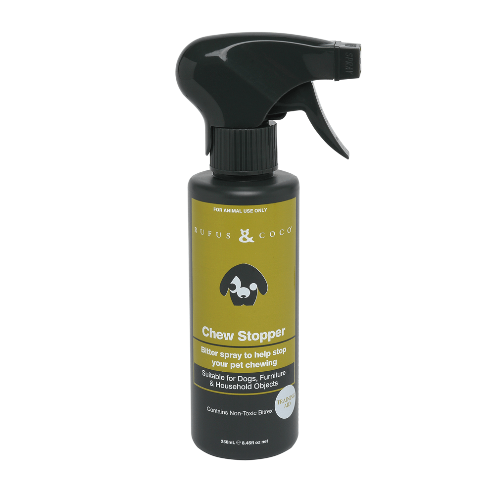 How to Puppy Proof Your Home, Inside and Out | SafeWise