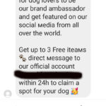 How to Stay Safe on Instagram | SafeWise