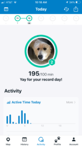Tractive GPS Pet Tracker Review | SafeWise