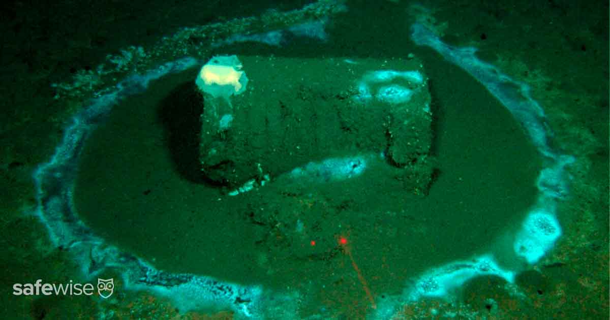 Scientists Find Pure DDT Off Coast of Los Angeles | SafeWise