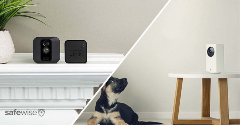 Best Security Cameras without a Subscription in 2025 | SafeWise