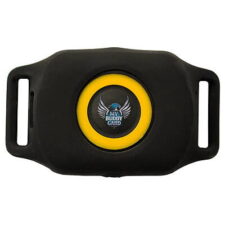 Best pet GPS trackers in Australia | SafeWise