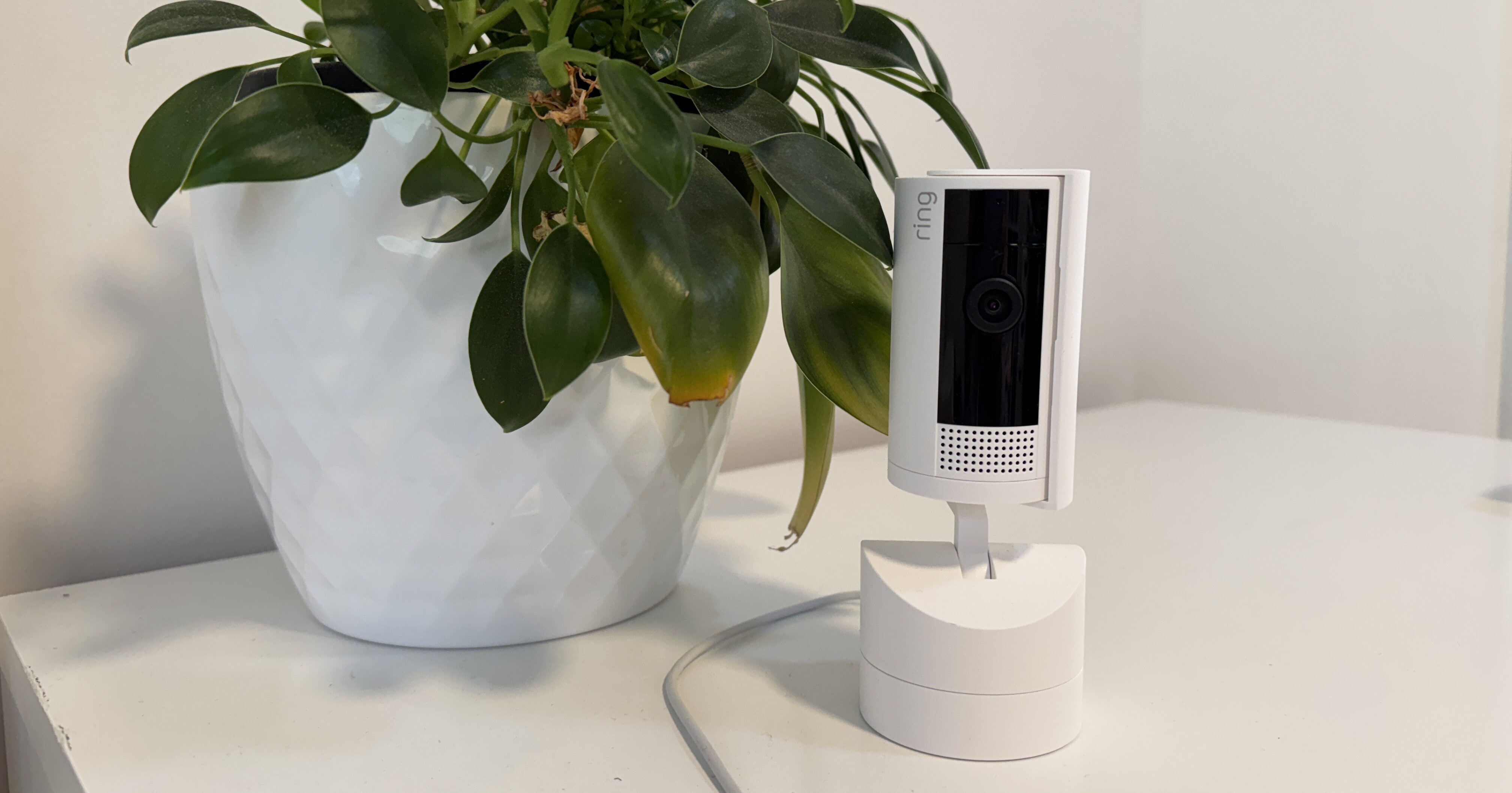 Ring Pan-Tilt Indoor Camera review Australia | SafeWise