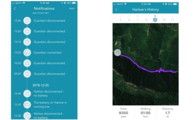 Findster Duo+ Review: Best Pet Finder? | SafeWise