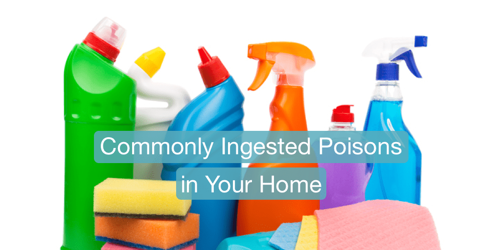 How to Treat These 5 Commonly Ingested Poisons | SafeWise