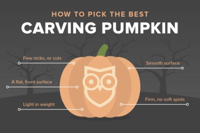 Andy's Locksmith Tips and Tricks: Kid-Friendly Pumpkin Carving: Tips ...